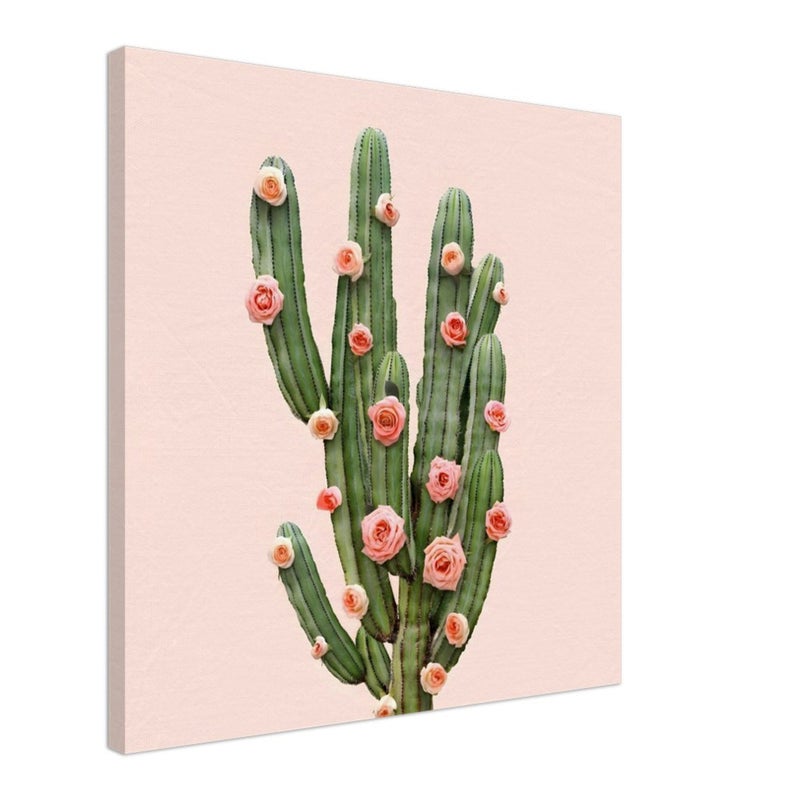 Toile imprimée 60x60 cm décoration murale cactus fleuri rose art ...