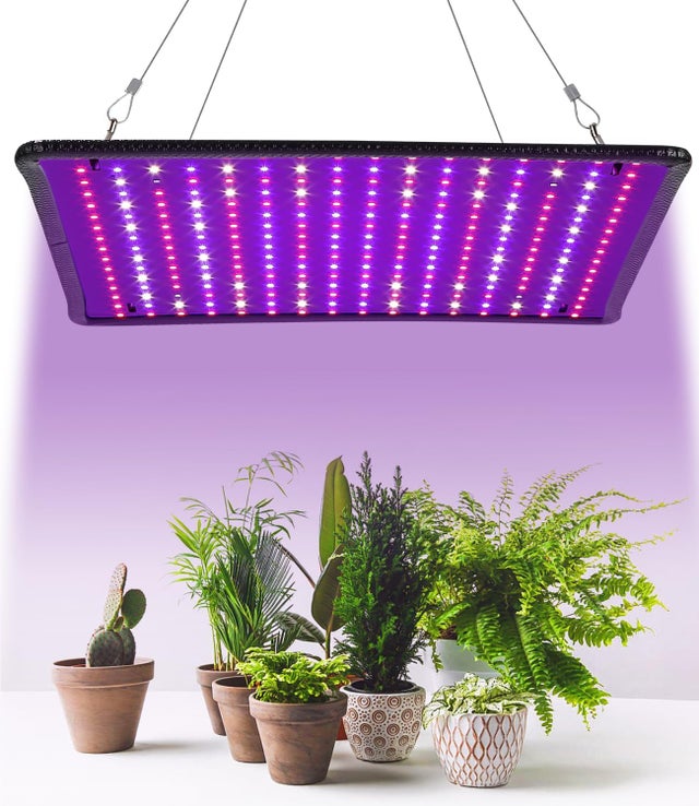 Lampe led pour plante au meilleur prix | Leroy Merlin