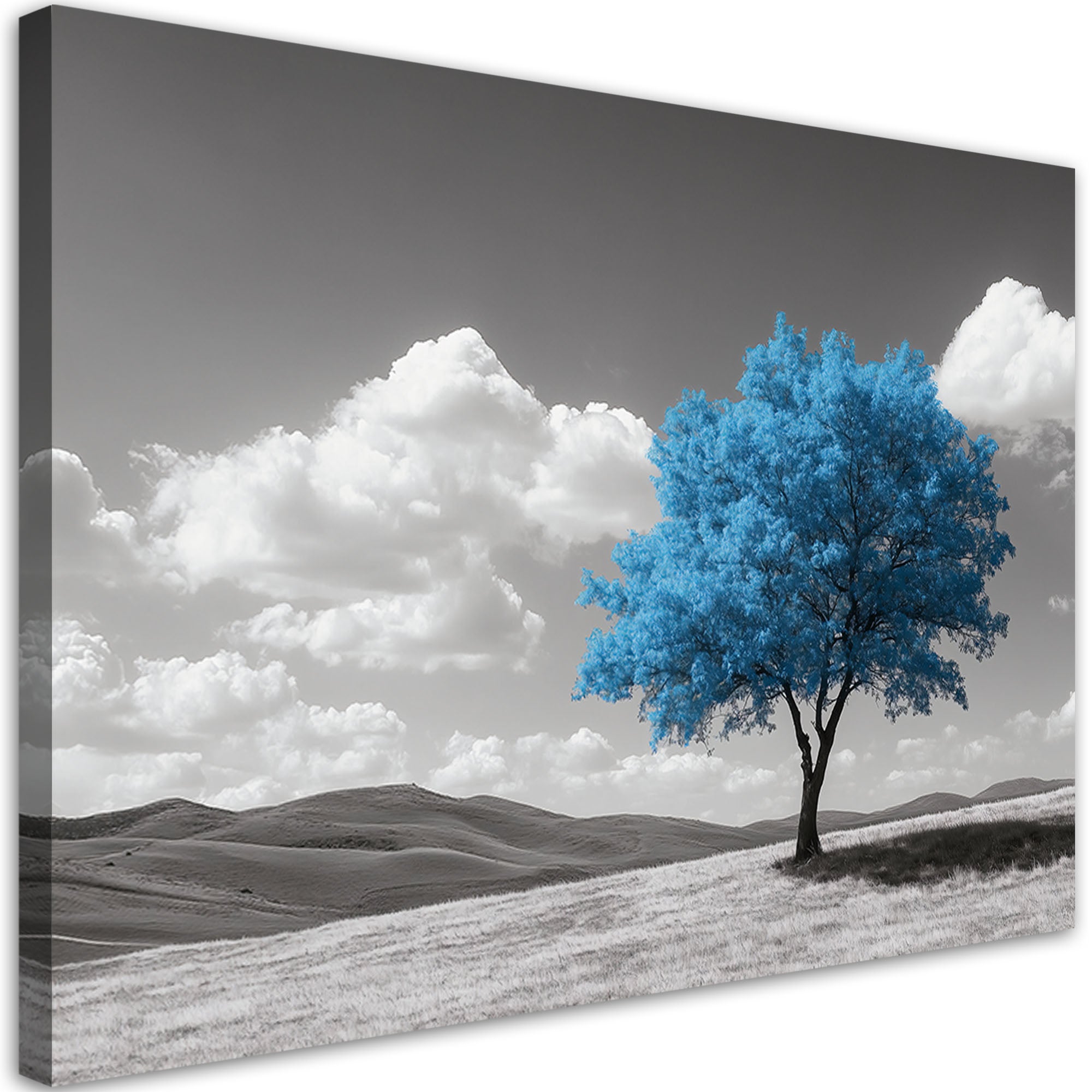 Cadre déco Paysage des Highlands avec arbre bleu 60x40 | Leroy Merlin
