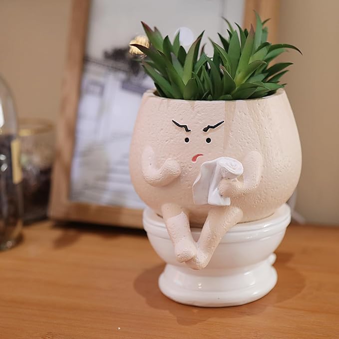 Pot visage rigolo plantes intérieur succulentes étrange cadeau maison ...