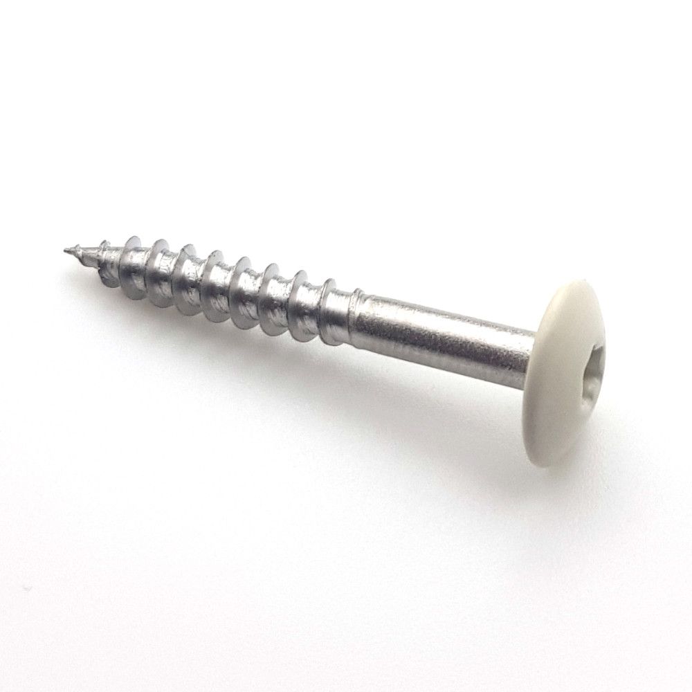 Vis pour panneaux de façade 4,8x38 mm RAL 1013 blanc perlé Inox A2 par ...
