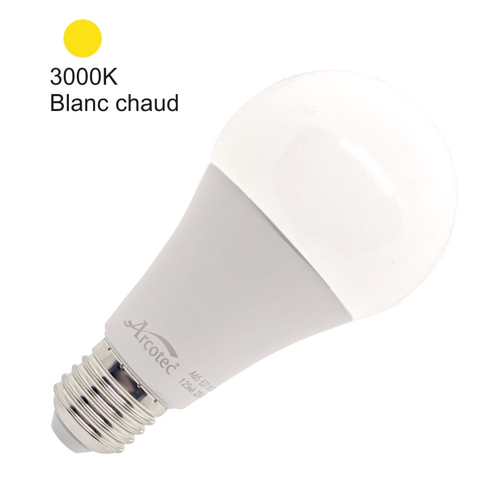Ampoule LED E27 standard 15,3W 1521Lm 3000K - garantie 2 ans | Leroy Merlin