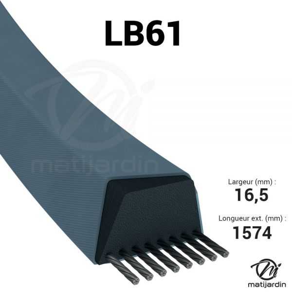 Courroie tondeuse Mitsuboshi LB61 - 16,5 x 1574 mm | Leroy Merlin