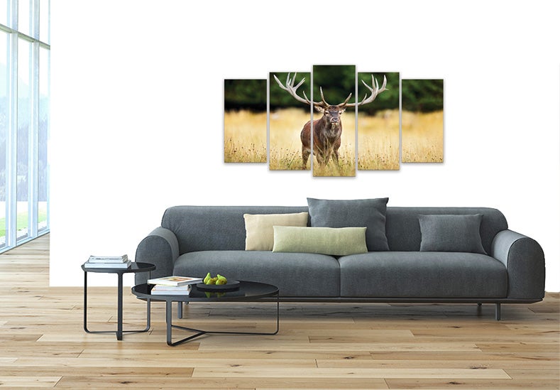 Tableau decoration murale joli cerf , 150x80cm | Leroy Merlin