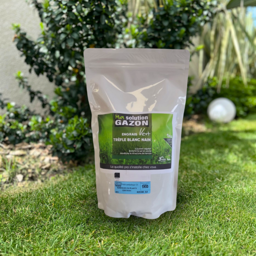 Trèfle blanc nain TEAM GREEN 1 kg | Leroy Merlin