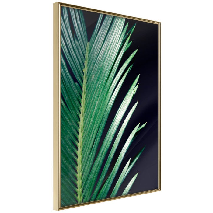 Affiche Murale Encadrée "Soothing Green" 40 x 60 cm Or | Leroy Merlin