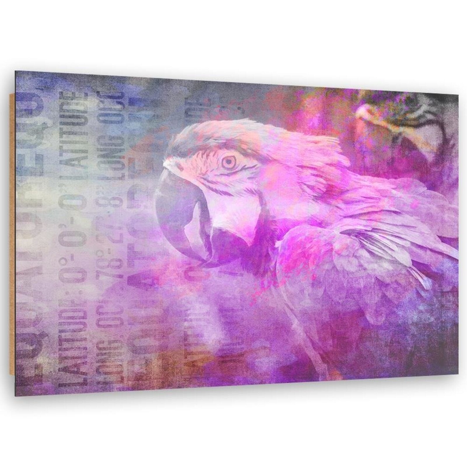 Tableau perroquet des bois - 70 x 50 cm | Leroy Merlin