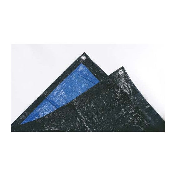 Toldo de plástico pesado 2x3 m color azul METALWORKS | Leroy Merlin