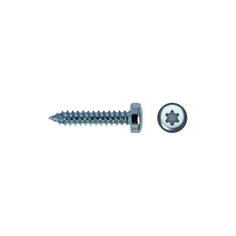 CELO 948507049T Tornillo rosca chapa cabeza alomada impronta TORX DIN ...