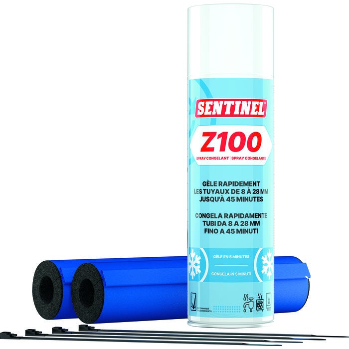 Kit spray congelant - Z100 - Sentinel | Leroy Merlin