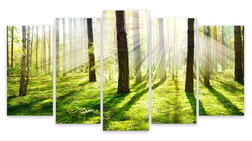 Tableau 5 parties Tableau photo sous bois de jacinthes - 150x80 cm ...