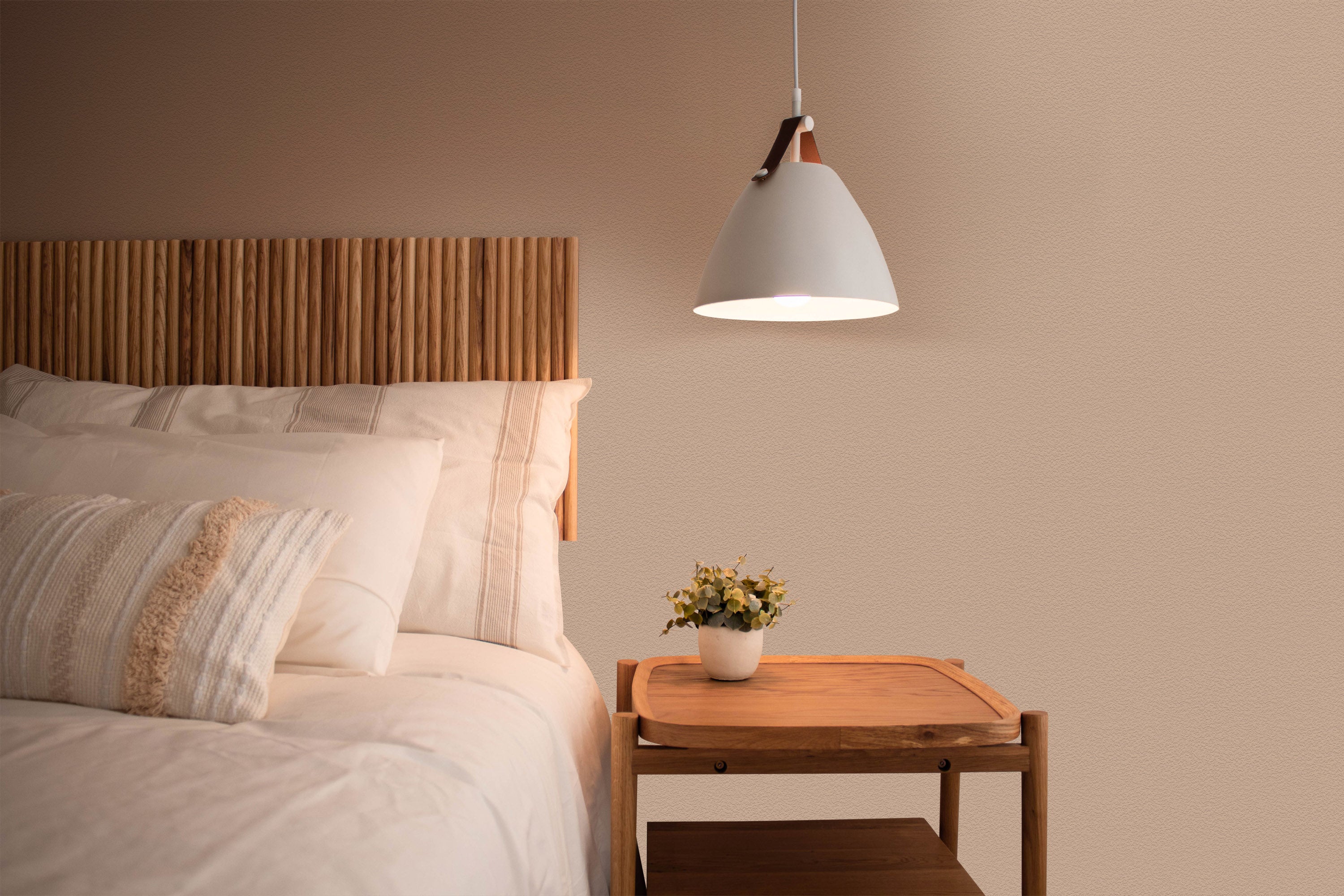 THE COLOR KITCHEN - Pintura marrón mate de muy alta opacidad para ...