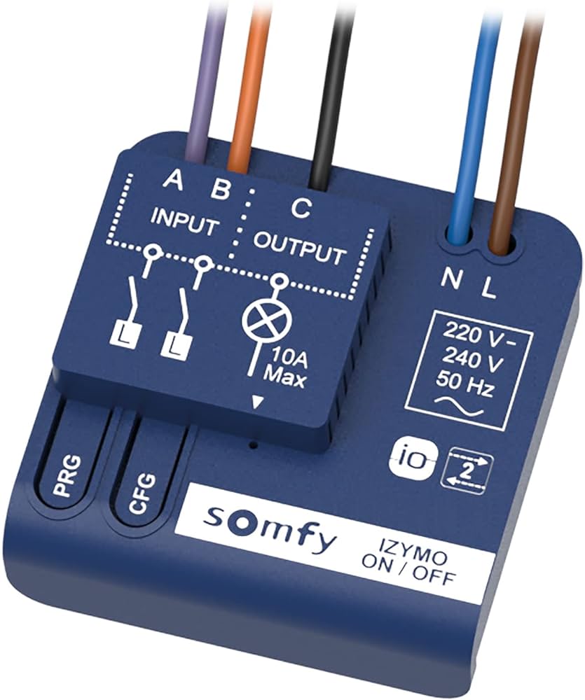 Micro-récepteur SOMFY IZYMO (Réf : 1822649) pour éclairage | Leroy Merlin
