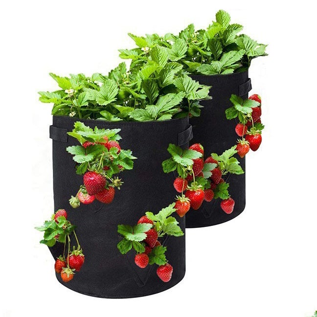 Lot de 2 seaux de plantation en feutre pour semis de fraises et pommes ...