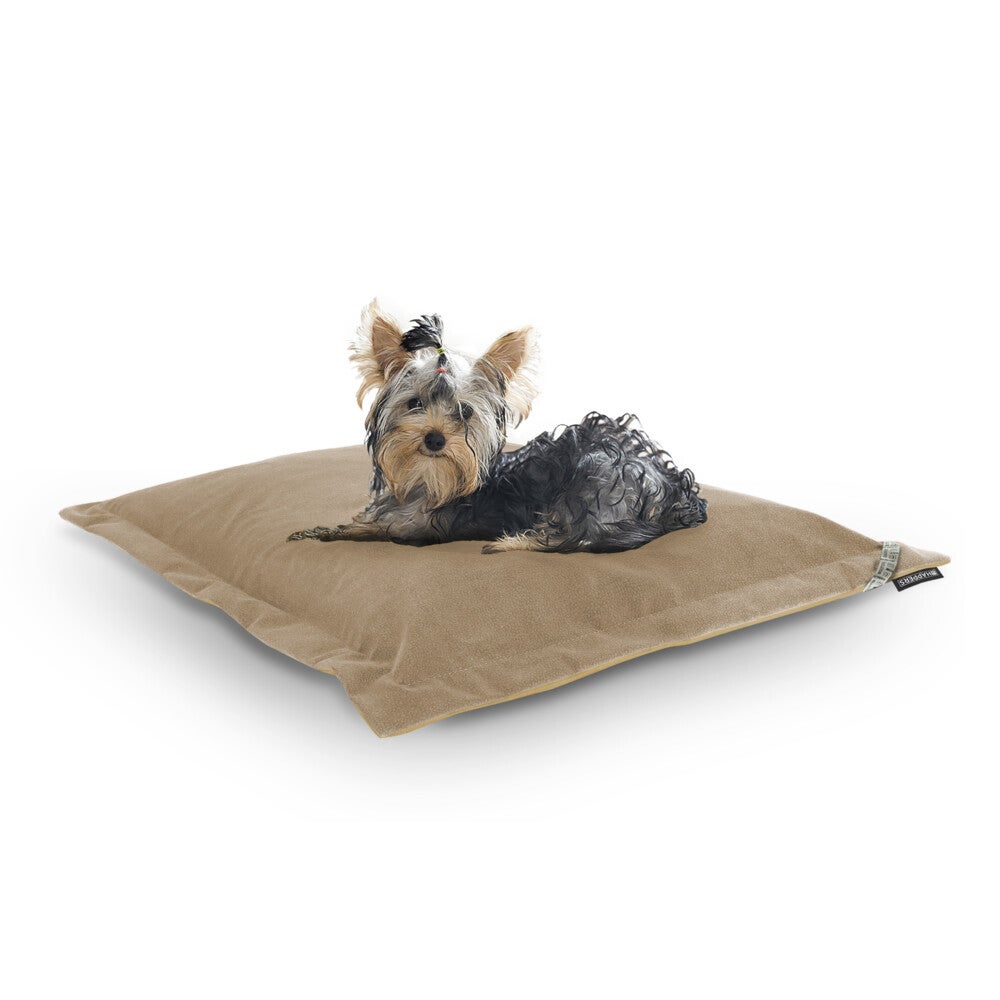 Coussin pour Chiens ou Chats, Aquaclean et Anti-taches Couleur Beige XL ...
