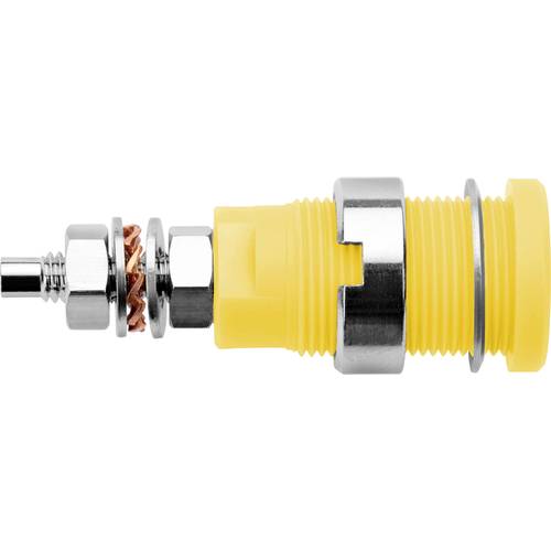Prise encastrée de sécurité jaune Schützinger DI SEB 6446 Ni / GE 1 pc ...