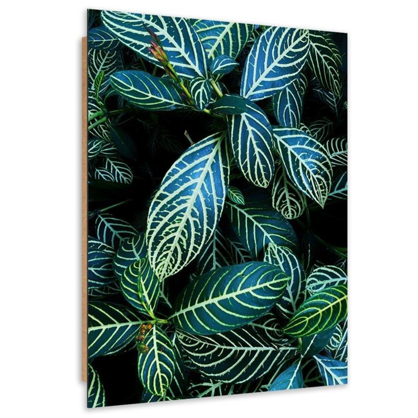 Tableau bois laisse nature plantes - 70 x 100 cm | Leroy Merlin