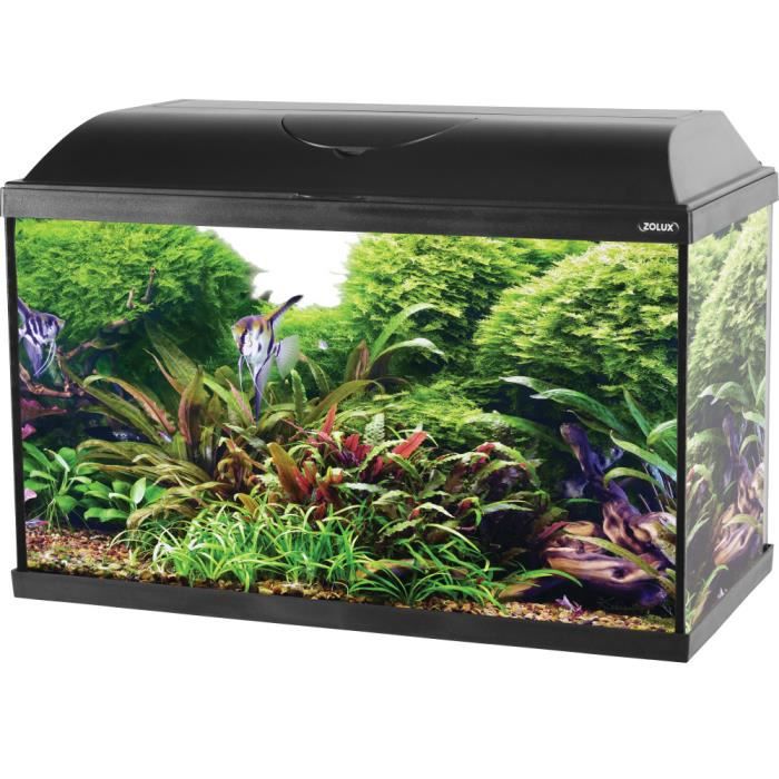 ZOLUX Aquarium ISEO équipé - 57L - L 61 x p 31 x h 42 cm - Noir | Leroy ...