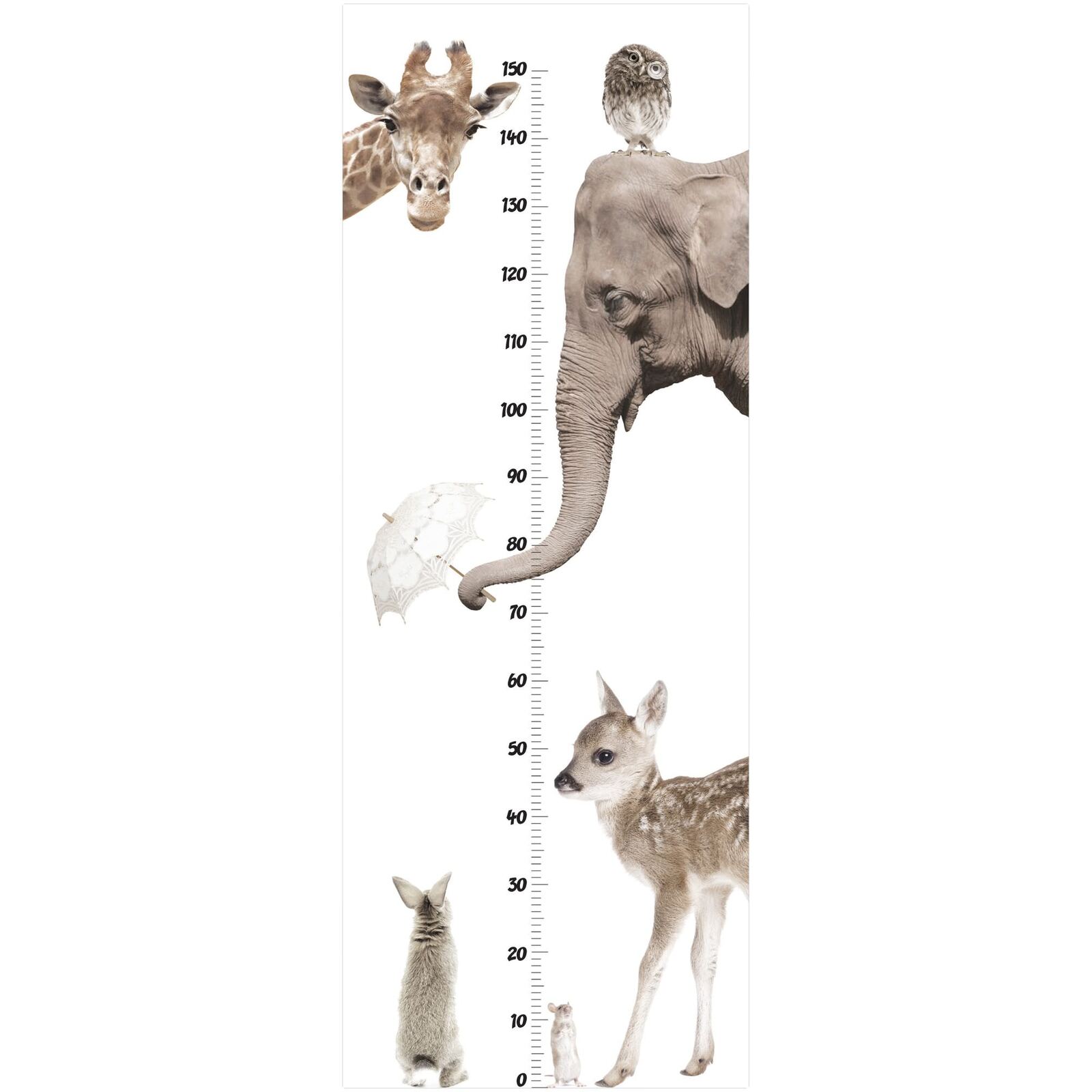 Sticker toise animaux sauvages pour décoration enfantine | Leroy Merlin