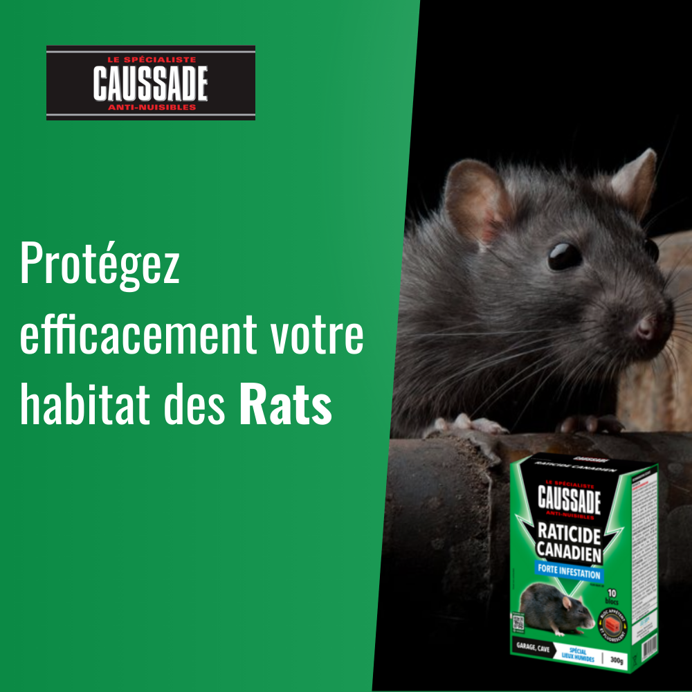 CAUSSADE Raticide Canadien - Anti Rats - Efficacité Radicale - Lieux ...