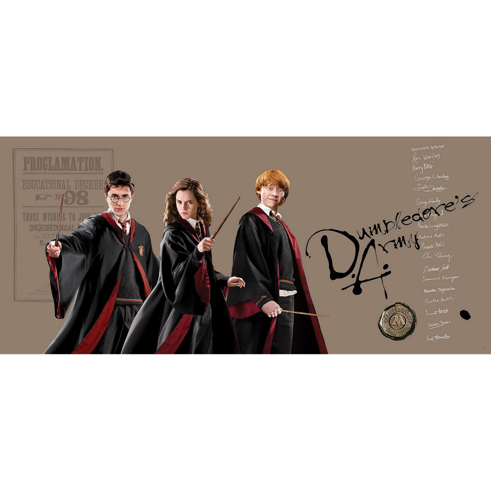 Poster géant horizontal Harry Potter et ses amis Hermione et Ron 170 x ...