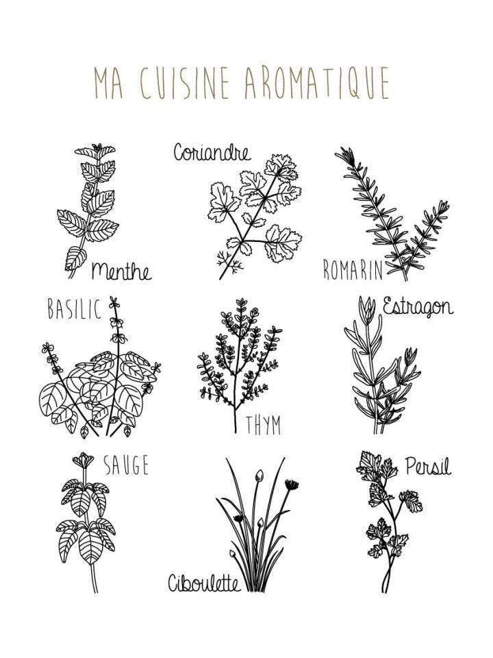 Affiche - Ma cuisine aromatique 30x40cm | Leroy Merlin
