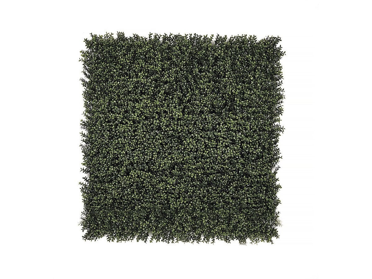 Panel vegetal "Buxus vertical" - Lote de 4 - 1,00 x 1,00 m - Verde ...