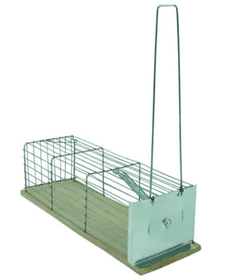 Galería de la ratonera cm 24 | Leroy Merlin
