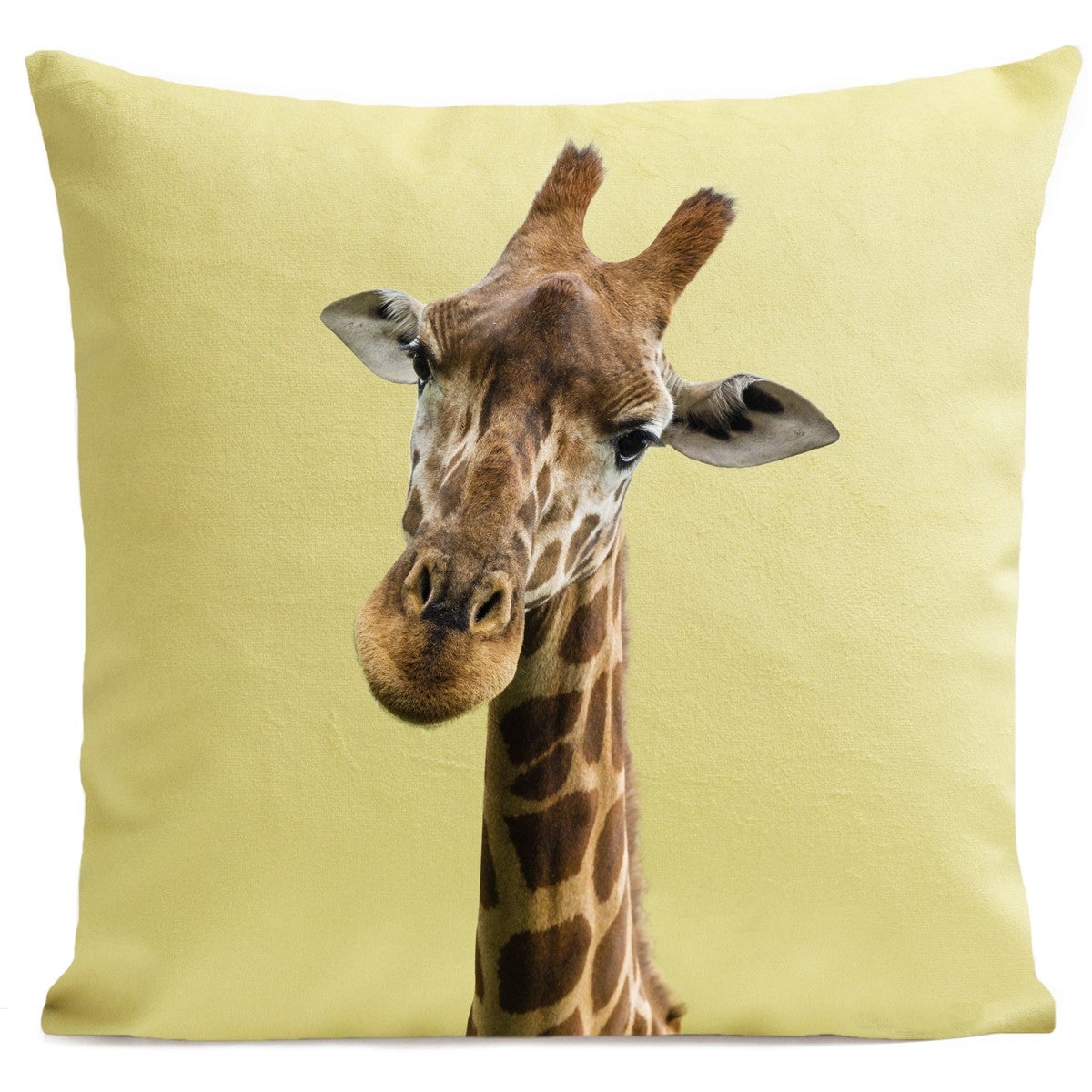 Coussin animaux, Girafe | Leroy Merlin