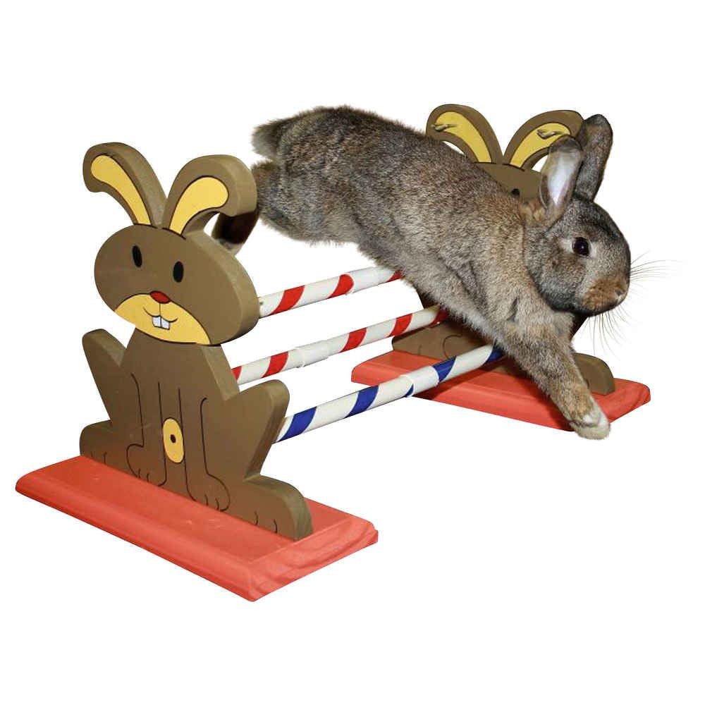 Obstacle Agility Kaninhop, pour rongeurs et lapins, taille: 62 cm par ...