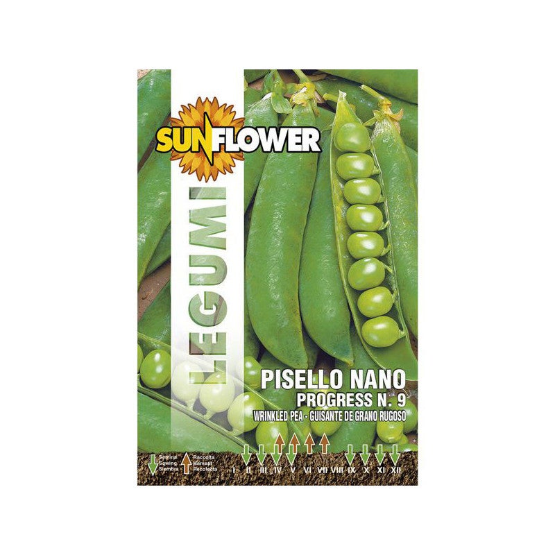 Sementi Pisello Nano Progress 9 Sunflower | Leroy Merlin