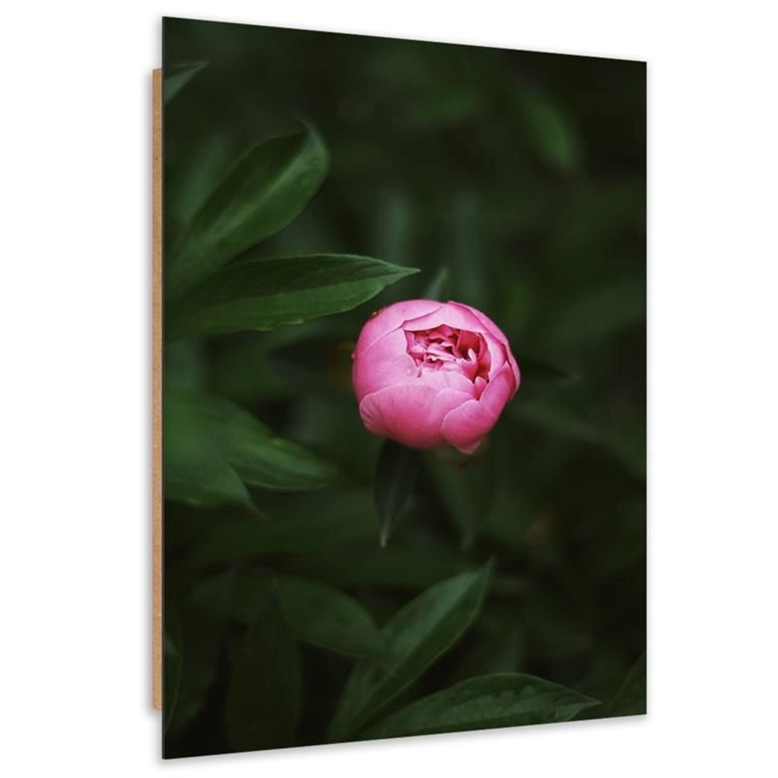 Tableau bourgeon rose bois d'une fleur sur un fond de feuille - 40 x 50 ...