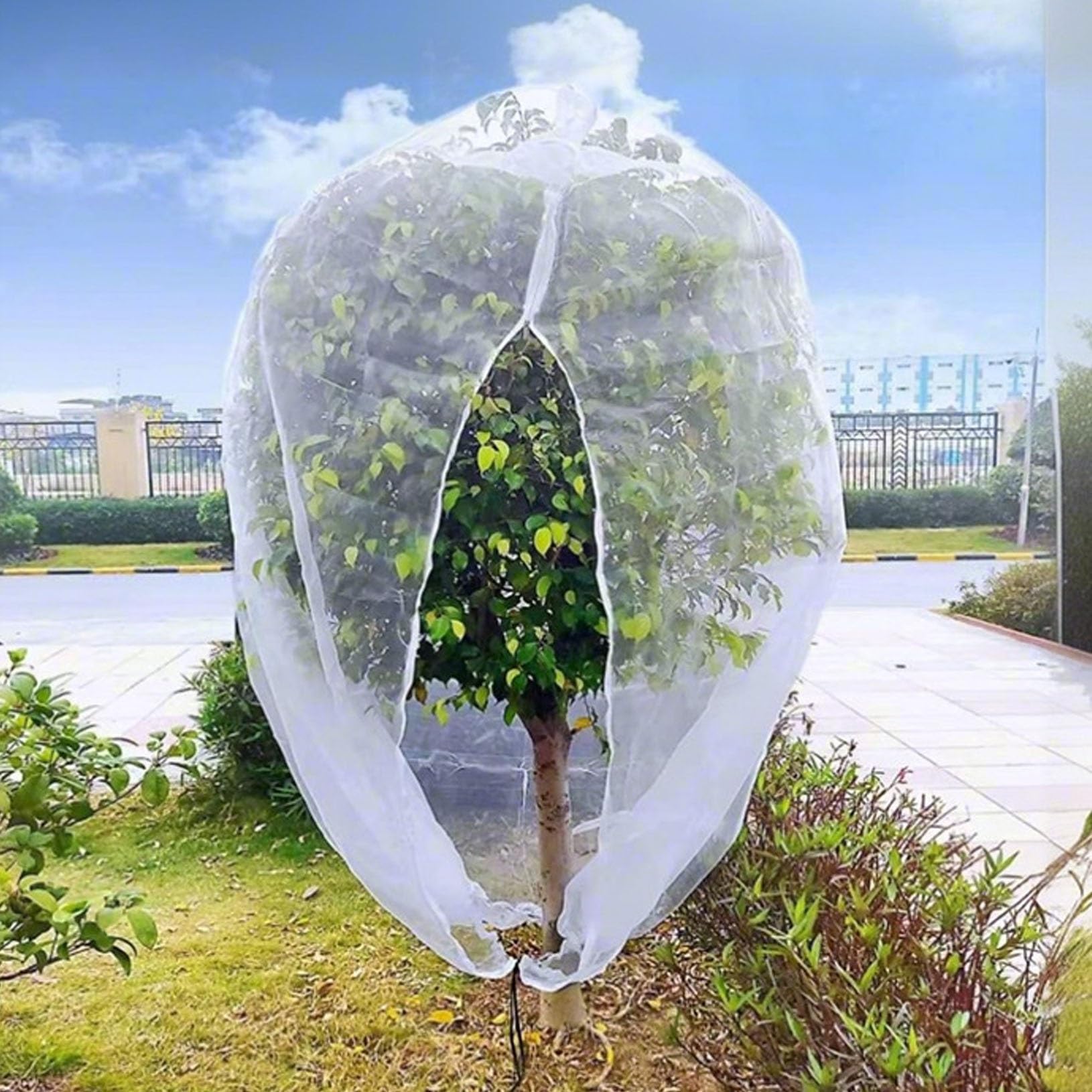 Filet de Protection pour Arbres Fruitiers Lot de 1 Anti-Insectes,Filet ...