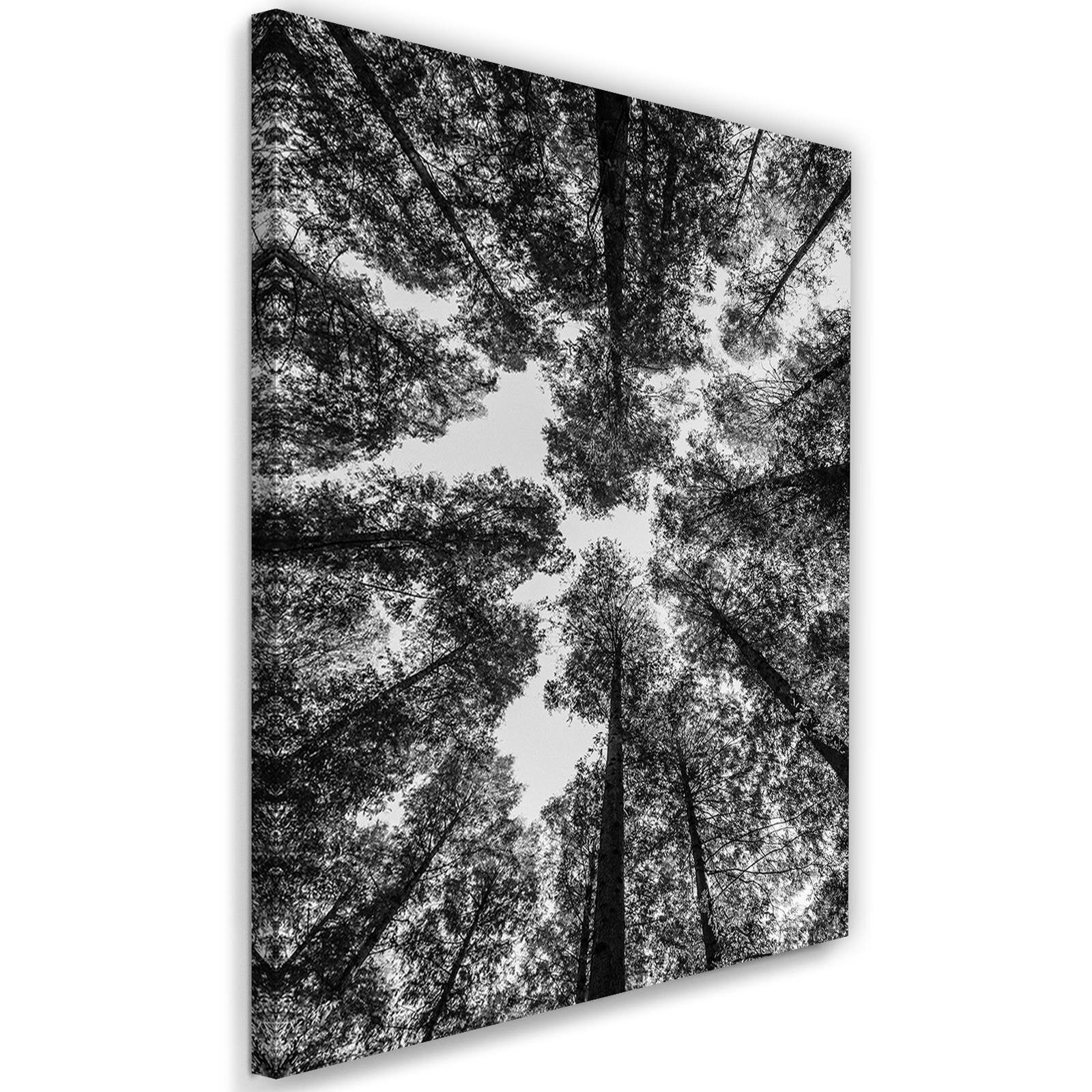 Tableau la cime des arbres - 80 x 120 cm | Leroy Merlin