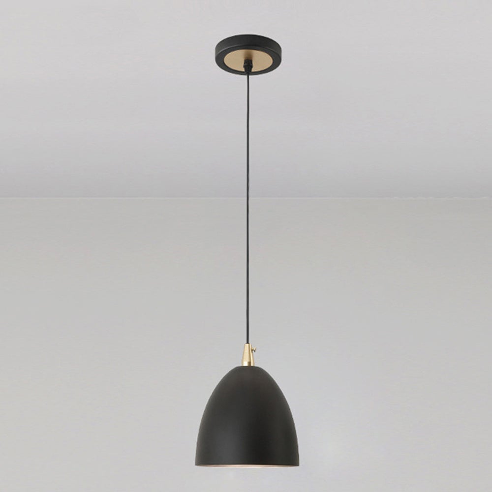 Lustre noir, tête unique, lustre de salle à manger 220v, lustre de chambre simple E27 sans ...