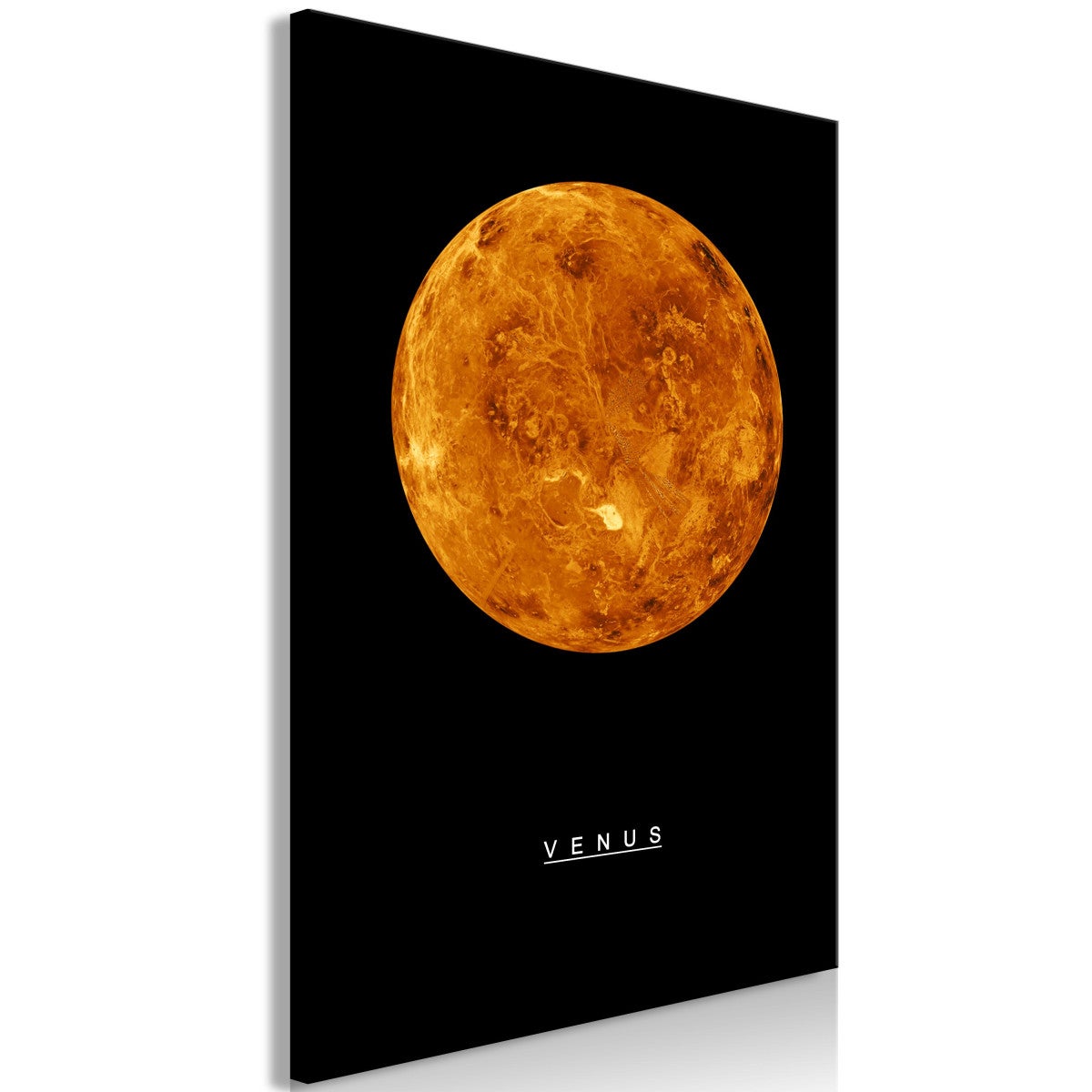 Tableau Imprimé "Venus" 60 x 90 cm | Leroy Merlin