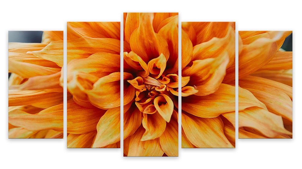 Tableau 5 parties fleurs dahlia Tableau macro orangée - 150x80 cm ...