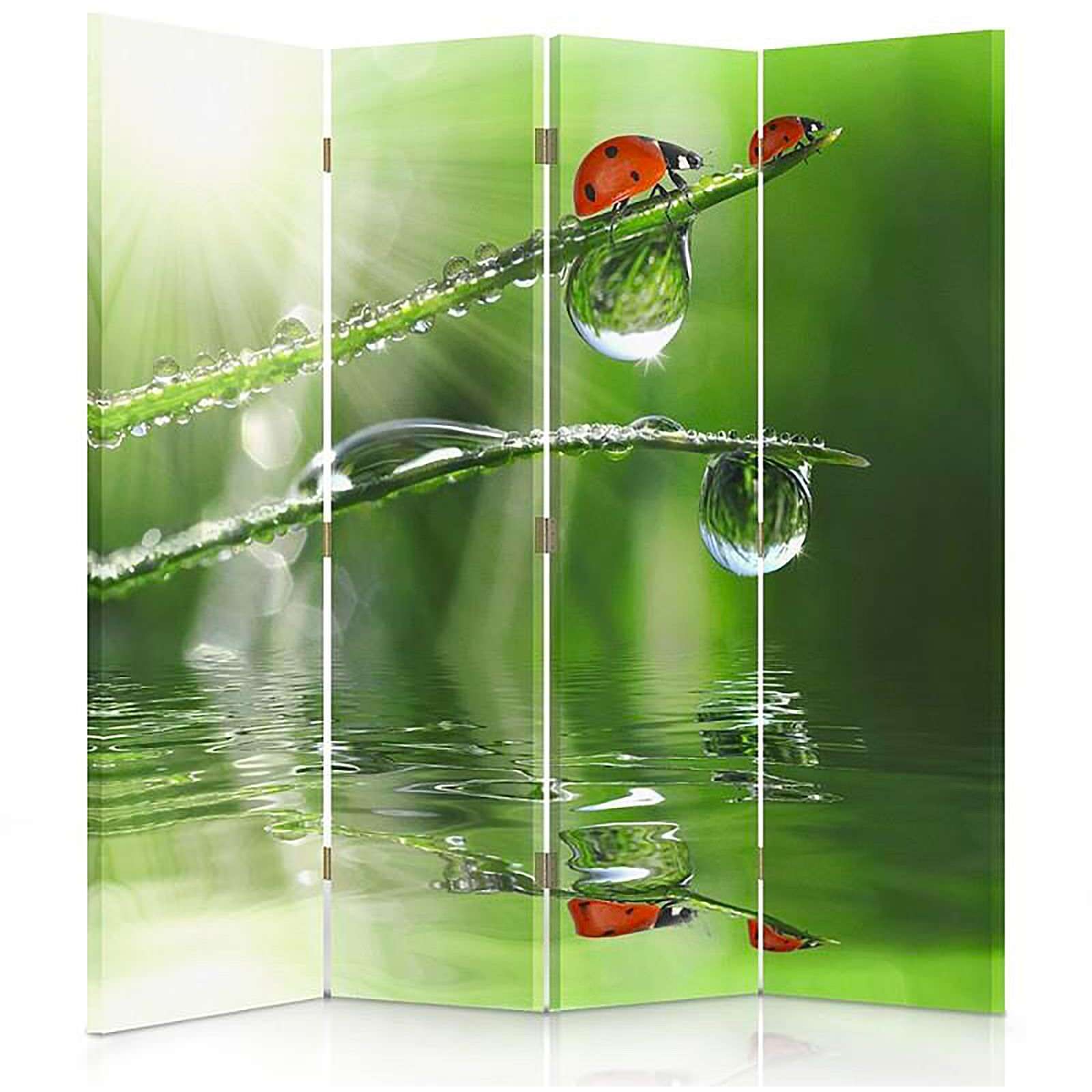 Paravent Design Coccinelles & Nature pour Intérieur Lumineux - 145 x ...