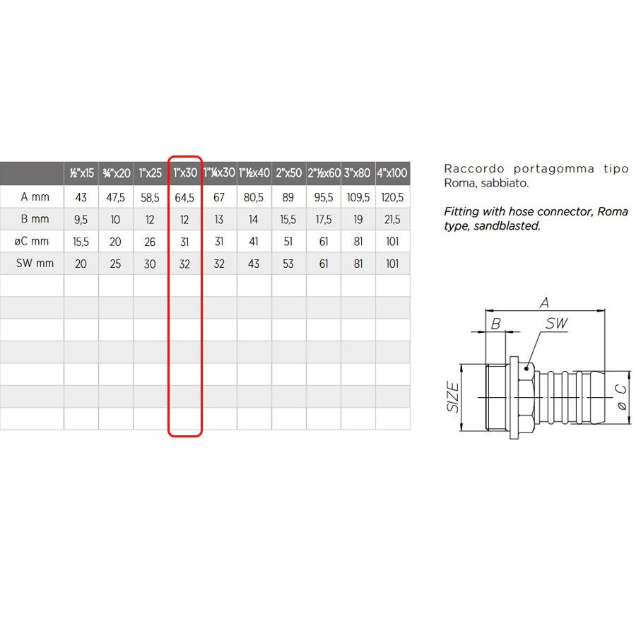 Raccordo portagomma 1" x 30 tipo Roma, sabbiato H0523S71 | Leroy Merlin