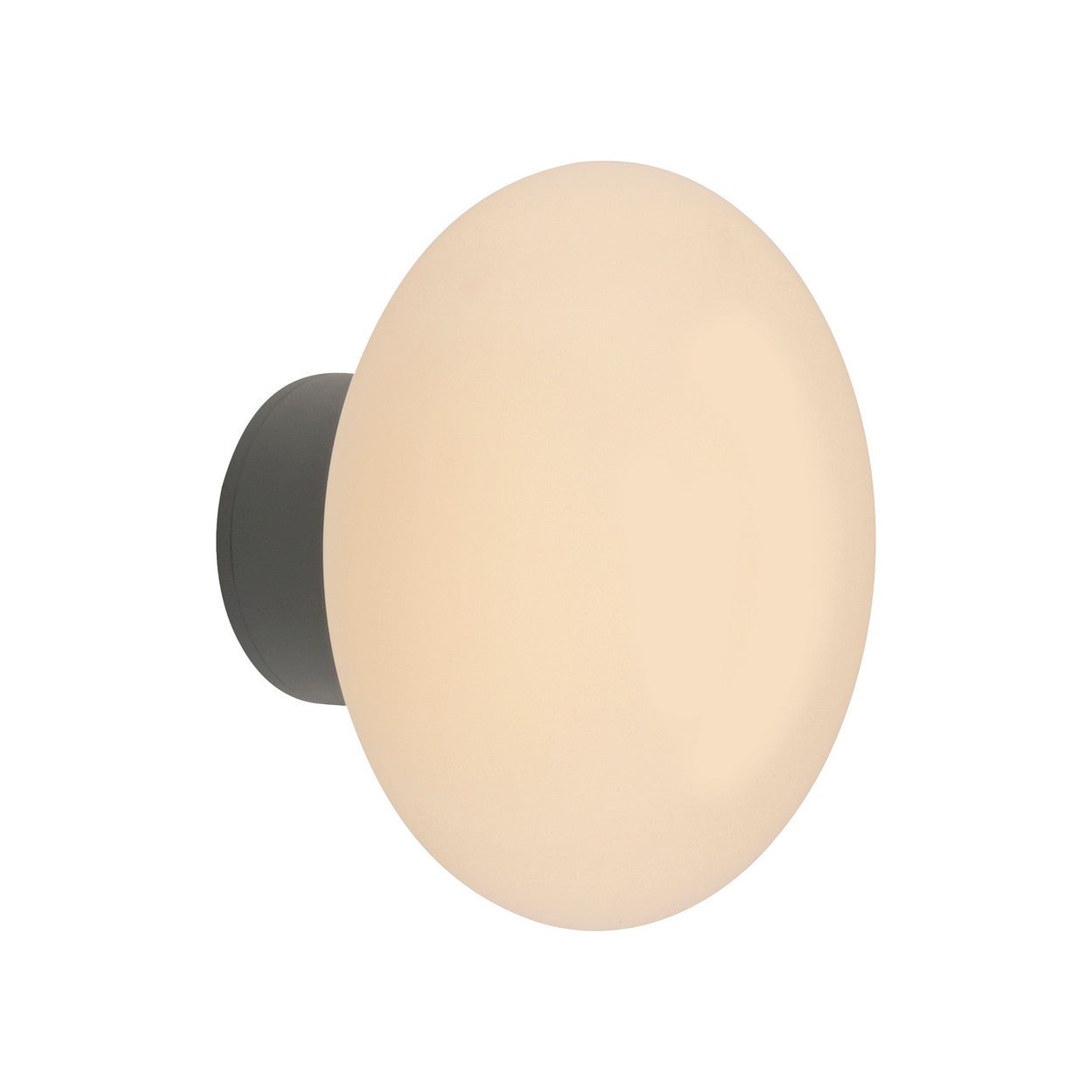Paul Neuhaus Olaf Applique murale d'extérieur Globe Gris 1x 5W LED ...