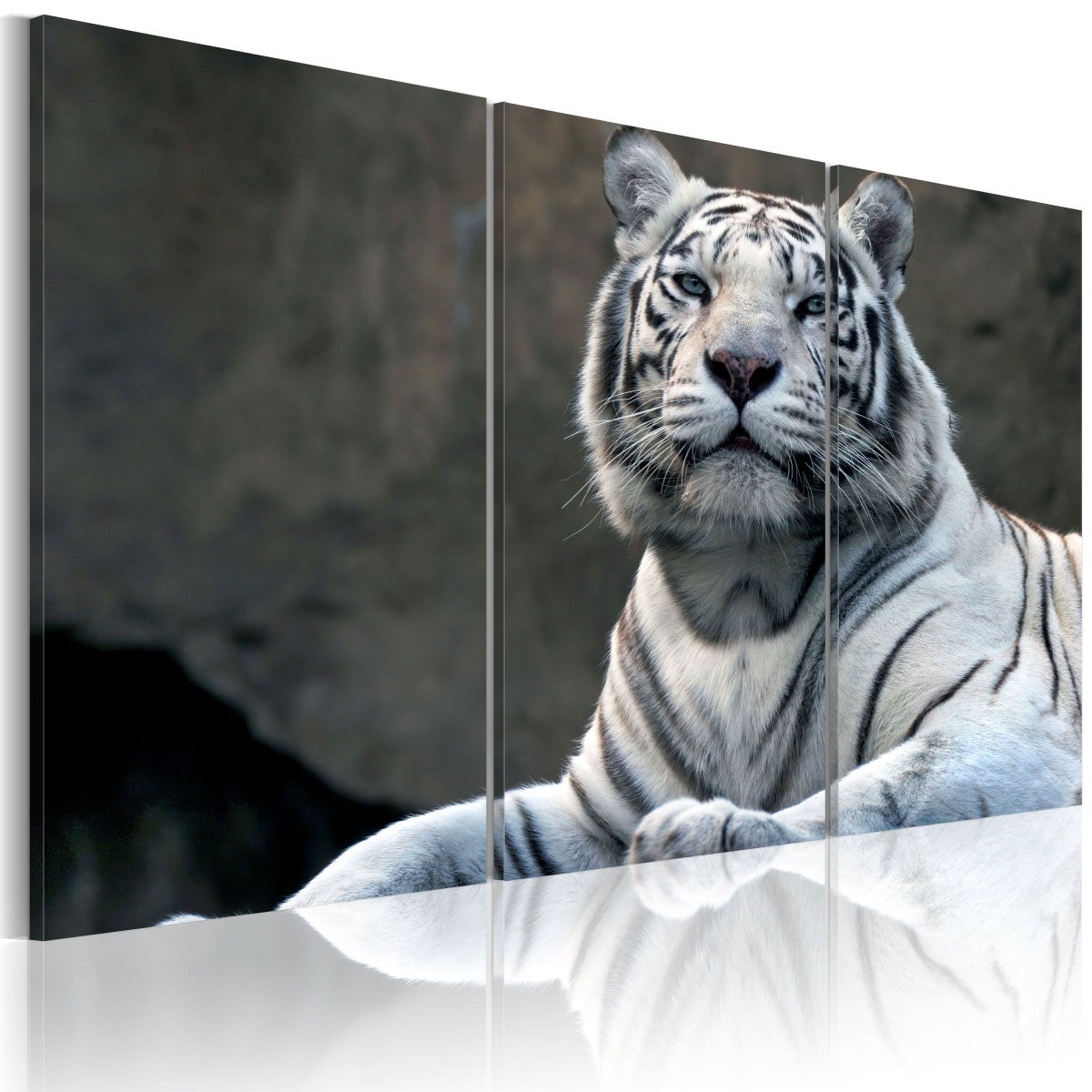 Tableau Imprimé "Tigre Blanc" 80 x 120 cm | Leroy Merlin