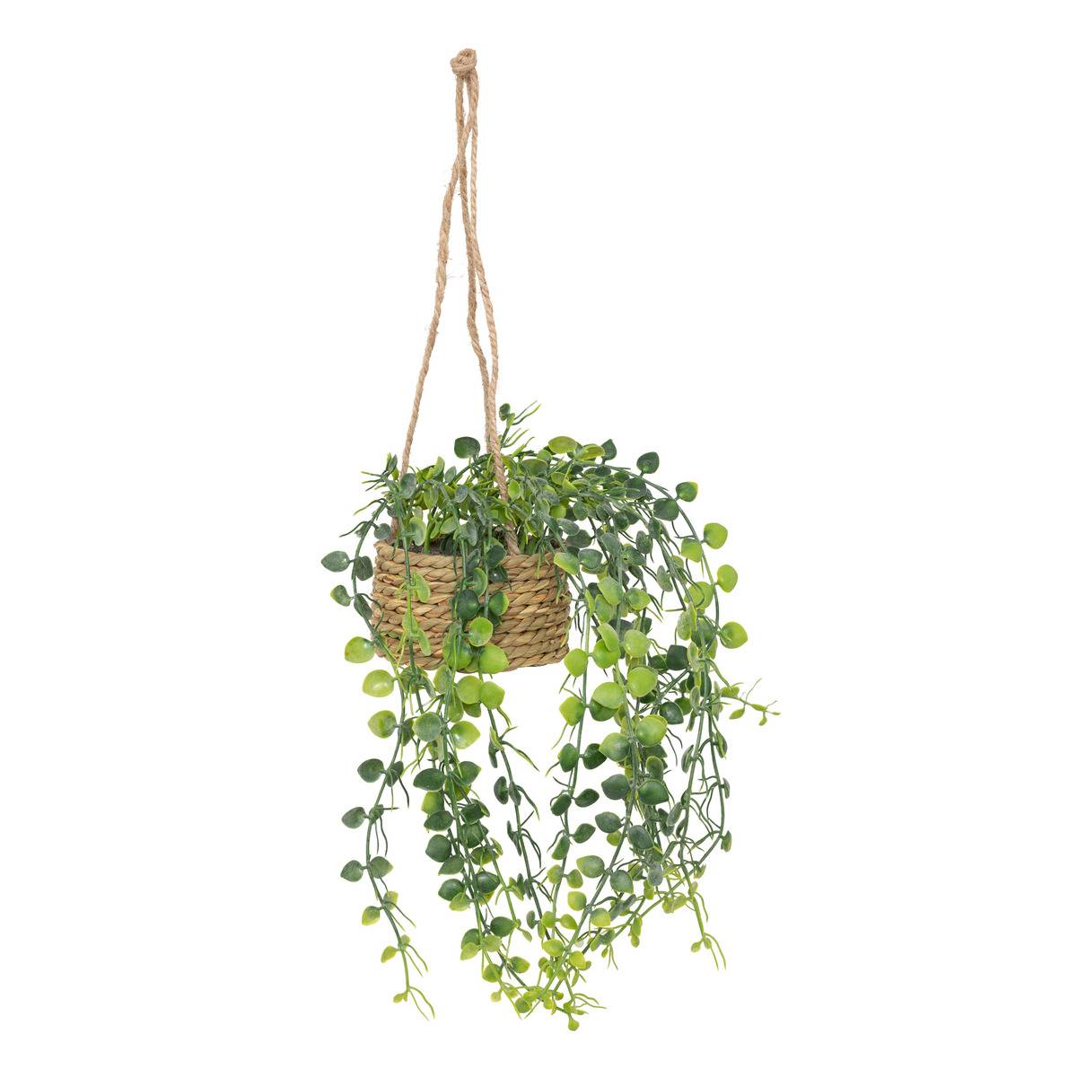 Atmosphera - Planta colgante artificial "patri" h47cm - Modelo c | Leroy Merlin