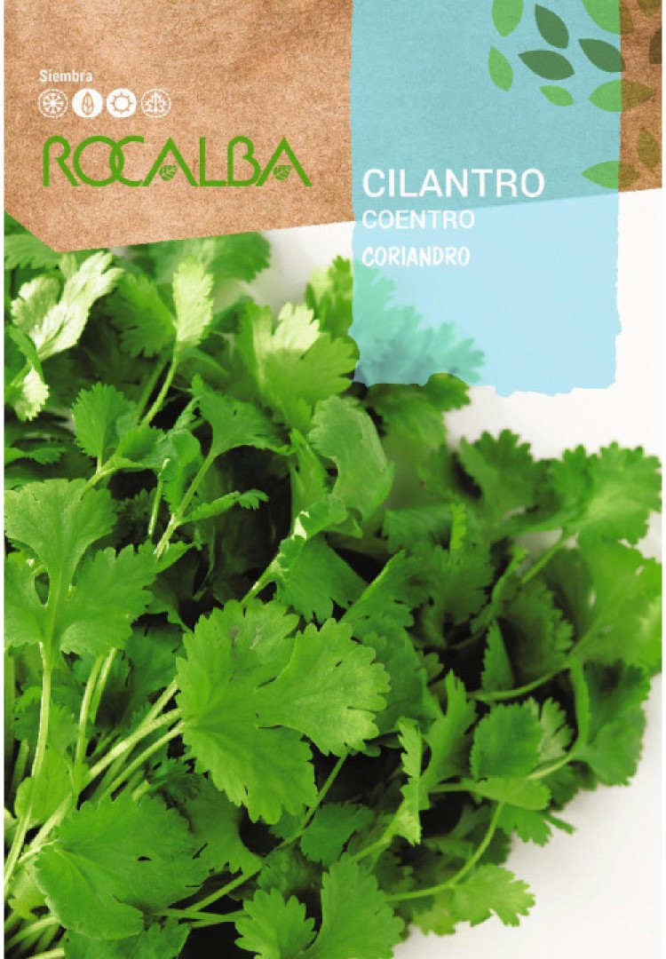 ROCALBA CILANTRO (CORIANDER) 10g, Paquet de 5 sachets | Leroy Merlin