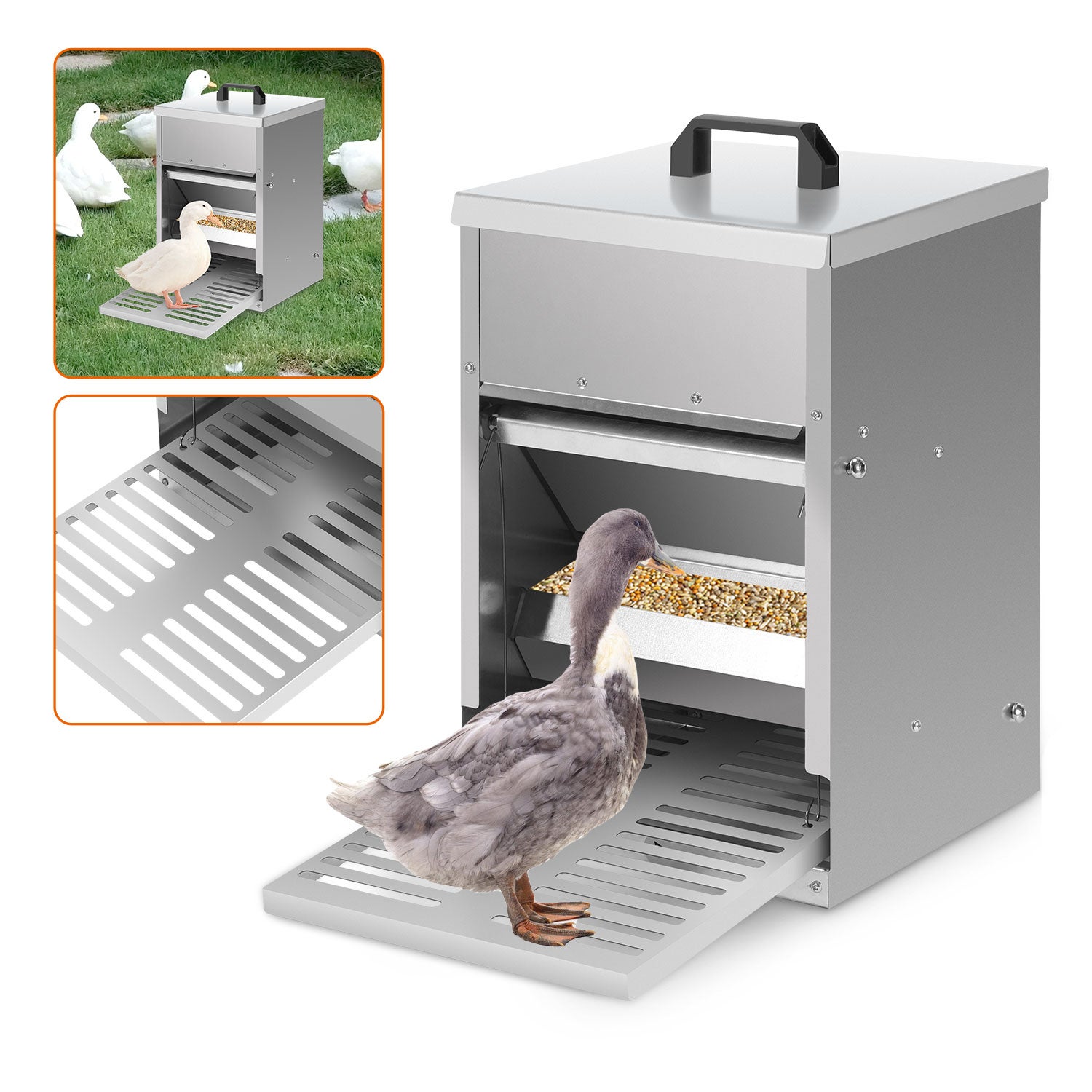3x Comedero para pollos de acero galvanizado - Comedero automático de ...