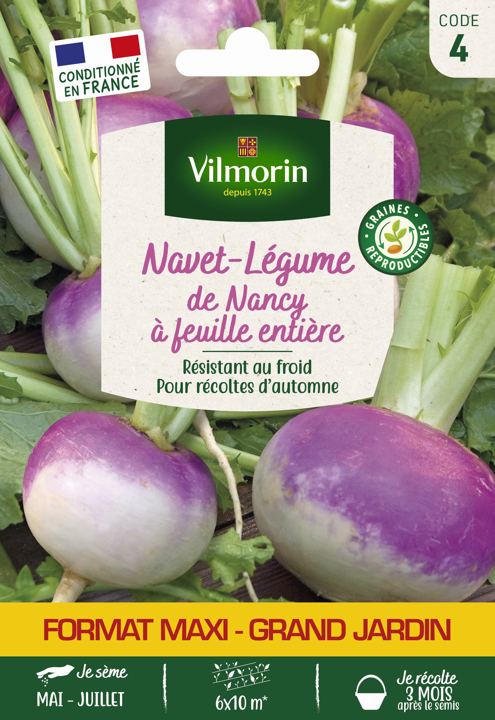 Navet-Légume de Nancy à Feuille Entière - Grand Modèle | Leroy Merlin