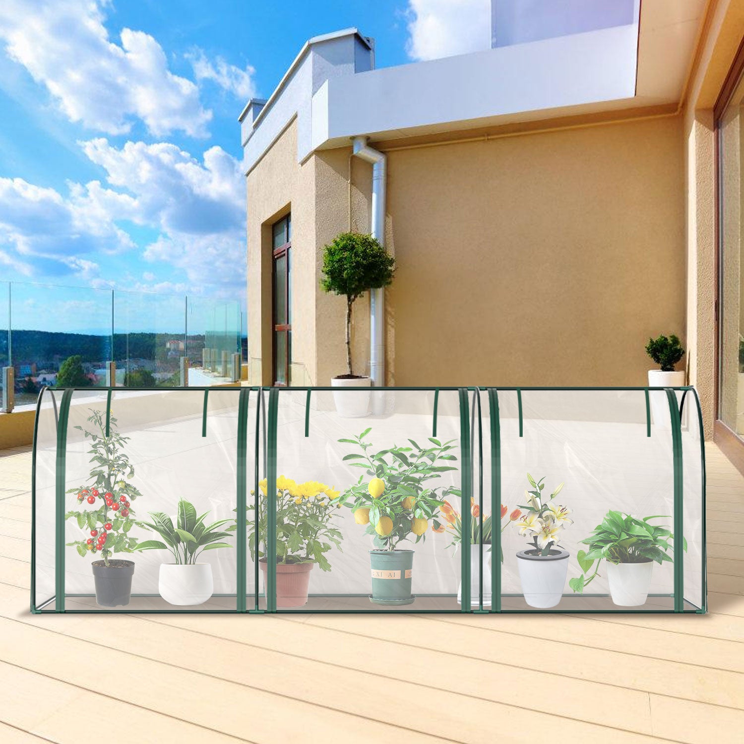 Invernadero de Jardín,Invernadero con 3 Ventanas Enrollables,Marco de ...