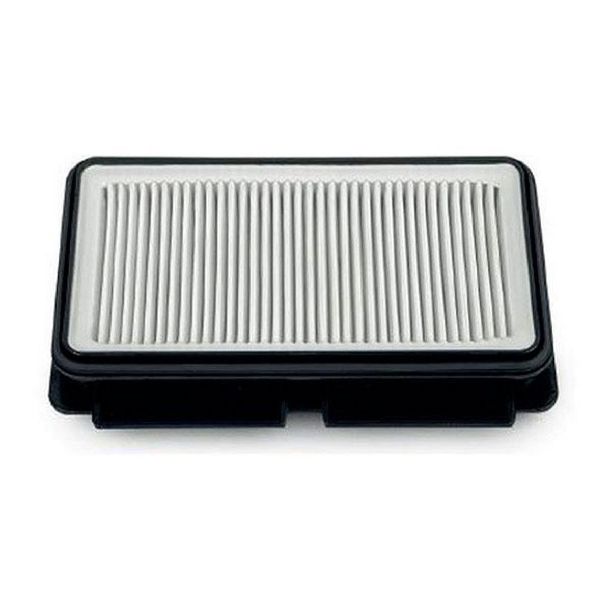 Filtre HEPA ZR902501 RS-RT4109, ZR9025011 Aspirateur ROWENTA, BOSCH, DE ...