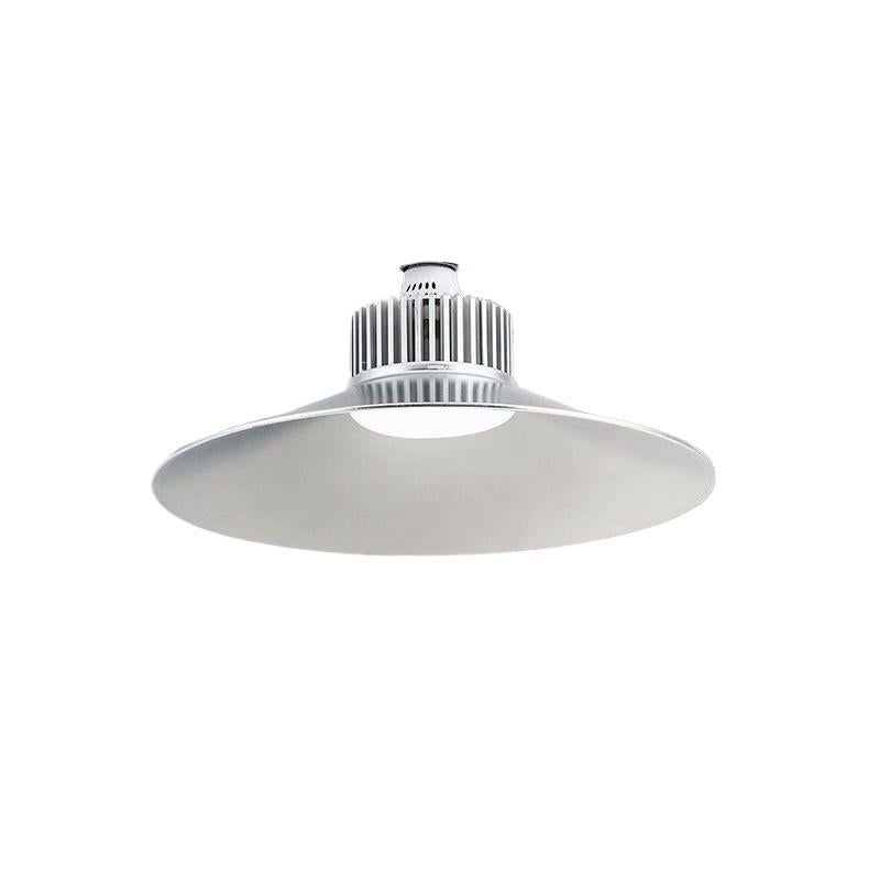 Projecteur LED Industriel Inspire en Métal Argenté - Puissance Élevée ...