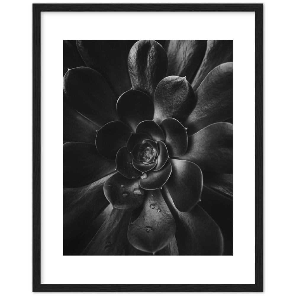 Lámina decorativa para enmarcar TROPIC HOJAS 40x50 cm | Leroy Merlin