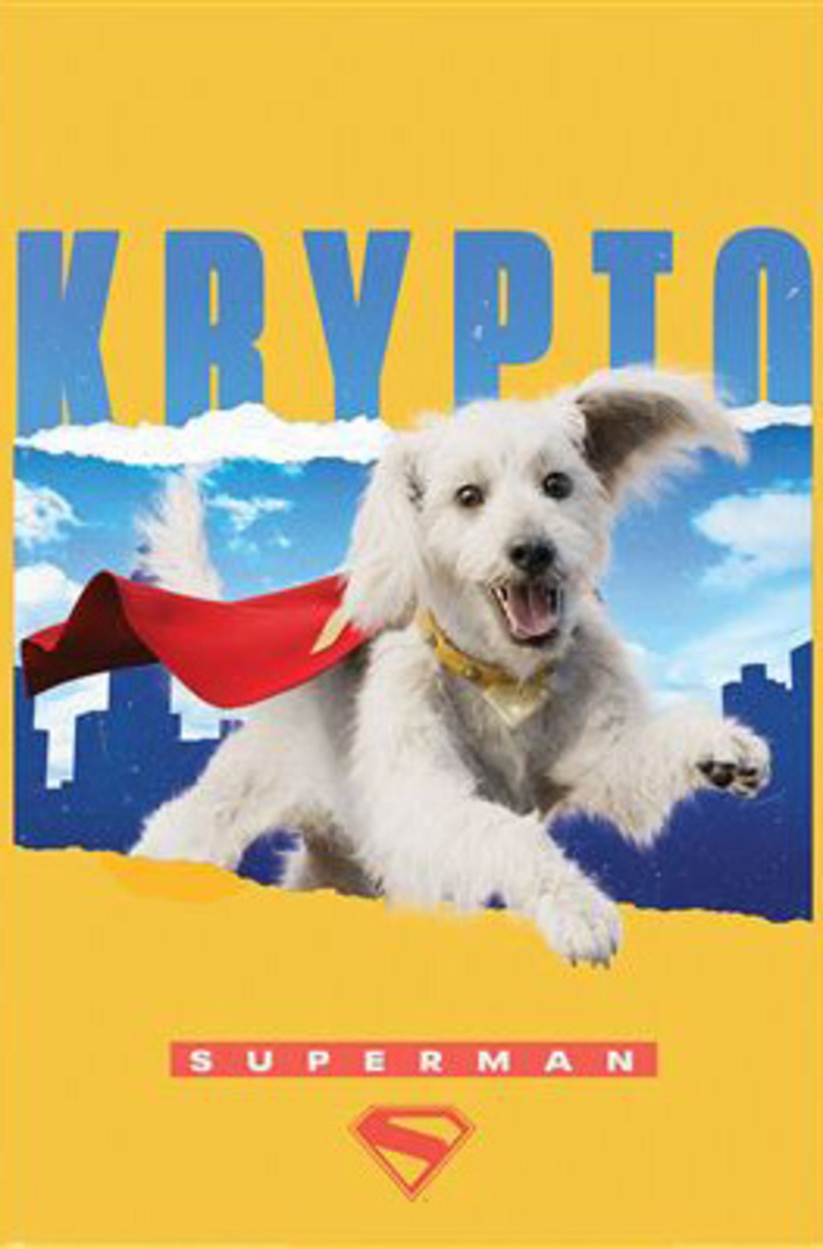 Poster Superman Krypto 61x91.5cm | Leroy Merlin